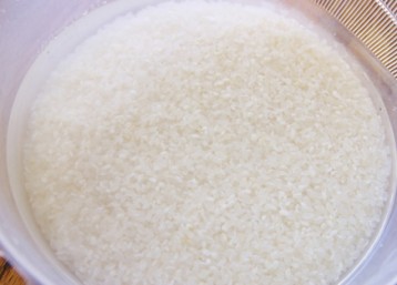 Rice Powder - Hosokawa Micron Malaysia